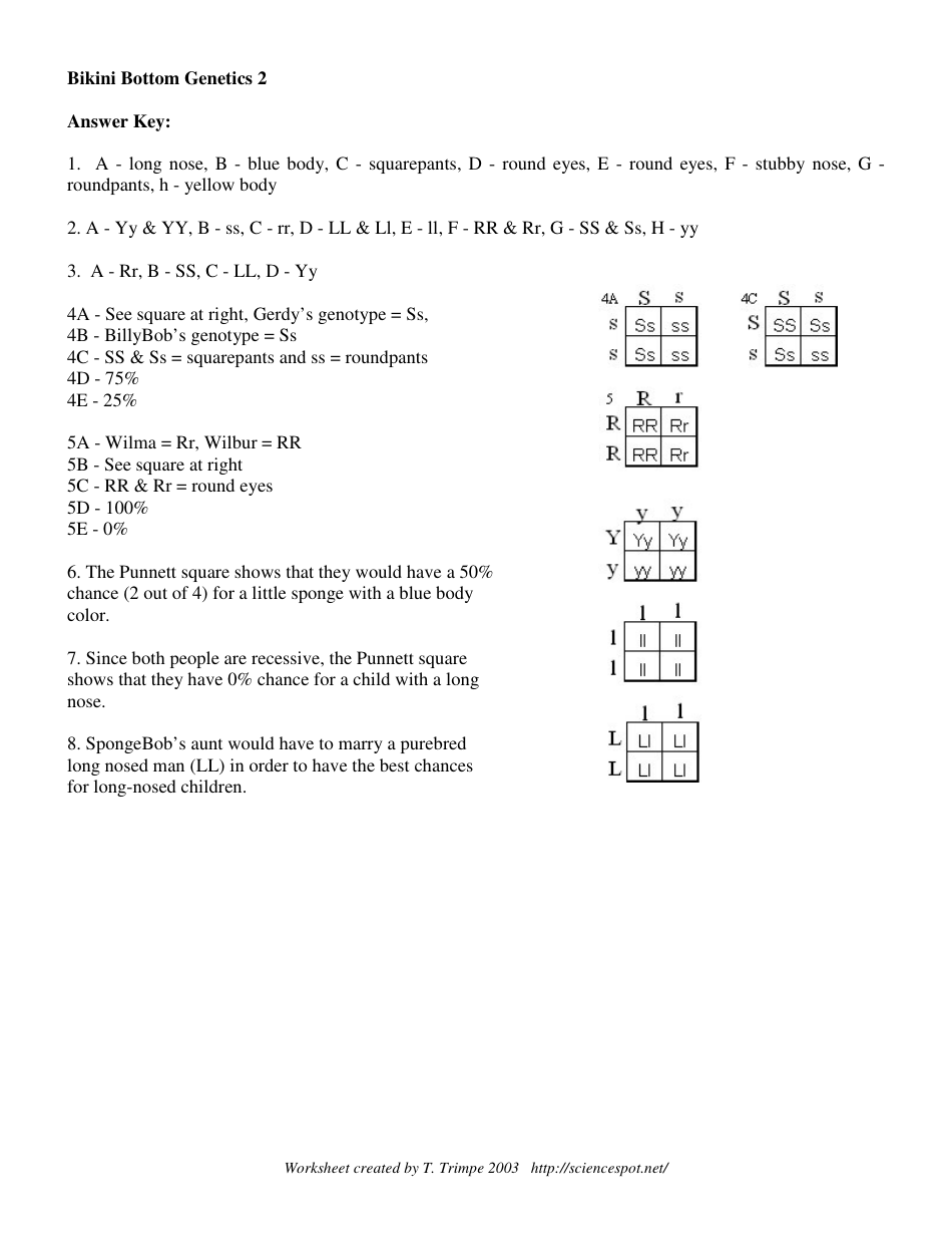 Bikini Bottom Genetics 2 Worksheet With Answers - T. Trimpe Download ...